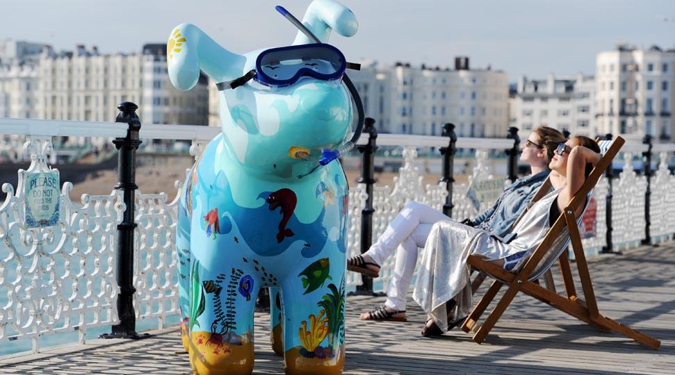 SNOWDOG – TAILS IN WALES - FOR Cardiff